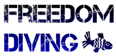 5 Star Scuba Diving and PADI Training in Scotland | Freedom Diving